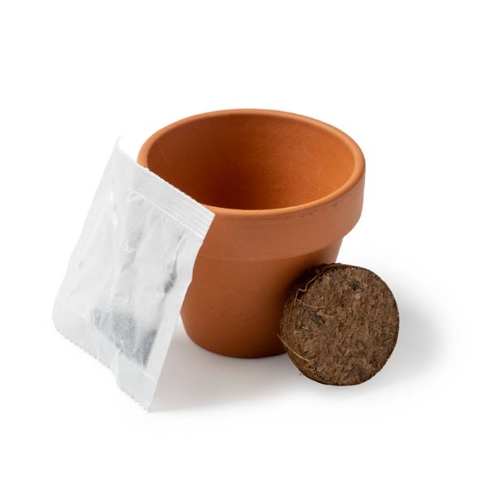 FRESA KIT Kit de cultivo de morangos - MO6928 | Brinde & Companhia ...